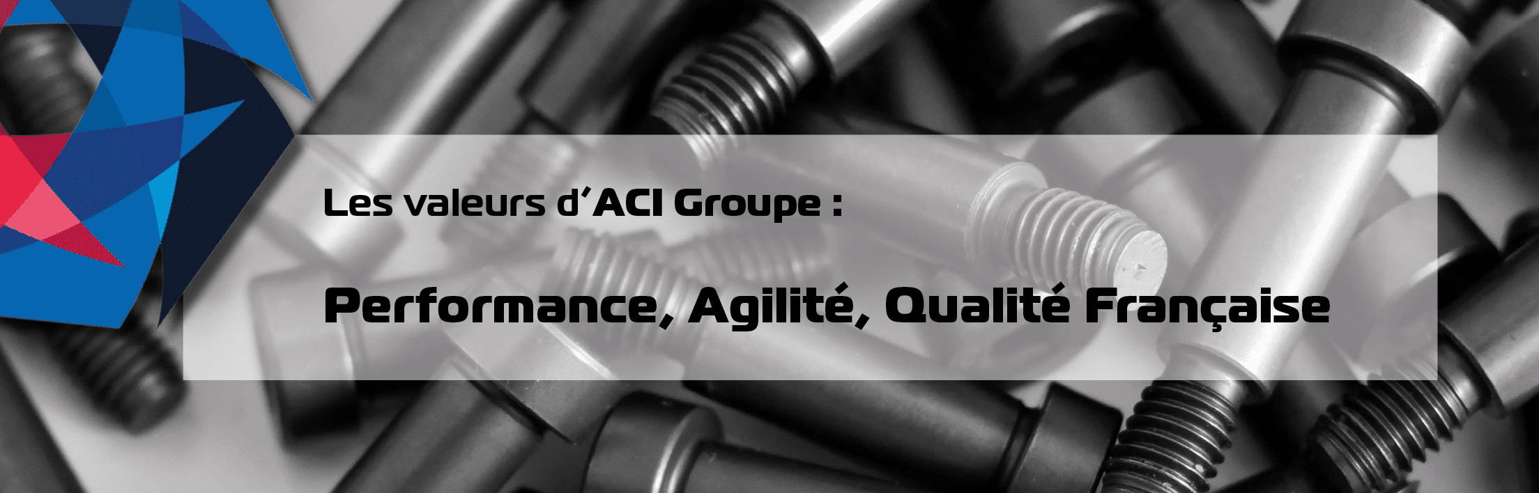 ACI GROUPE : Qualité France - Performance - Agilité